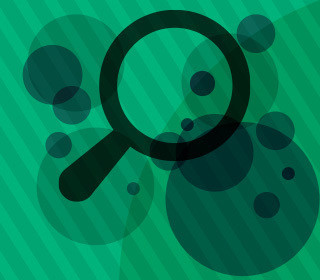 Welcome to The Harris Federation